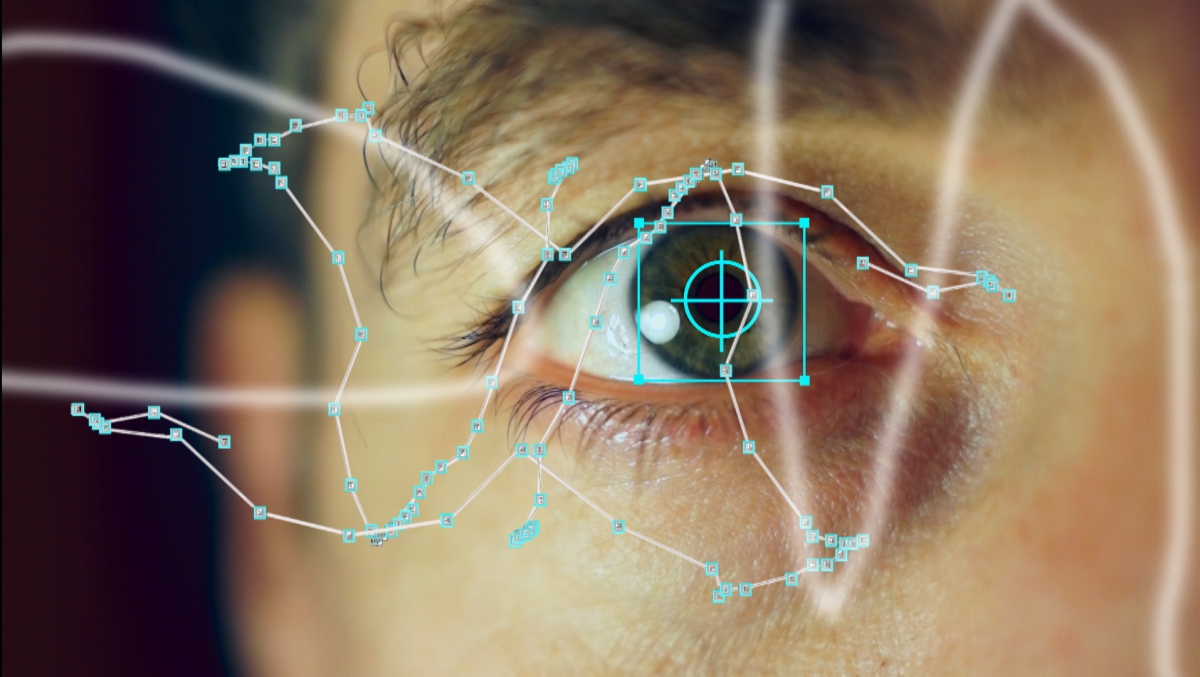 Thirty years of transmediale | Lodown Magazine