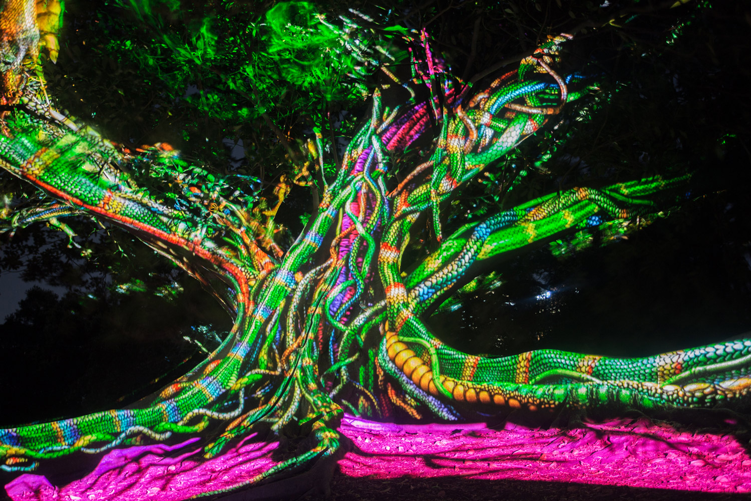 Synthesis | Lodown Magazine