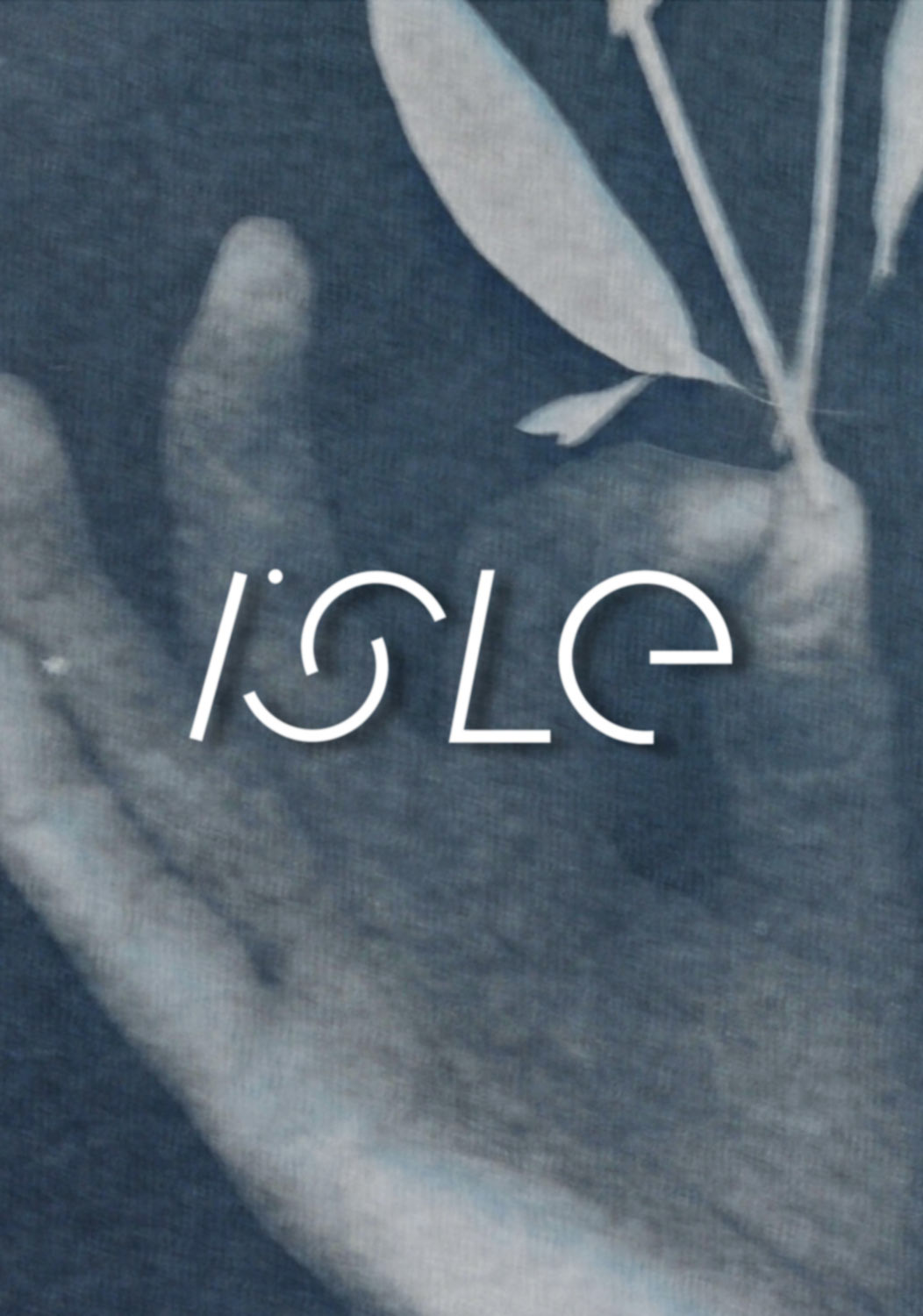 ISLE Skateboards | Lodown Magazine
