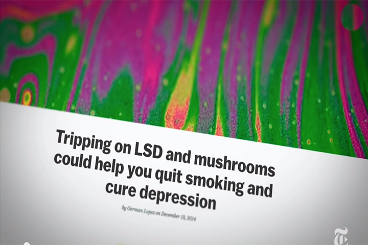 LSD | Lodown Magazine