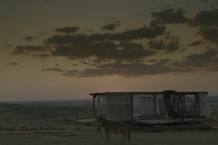 We Wander | Lodown Magazine